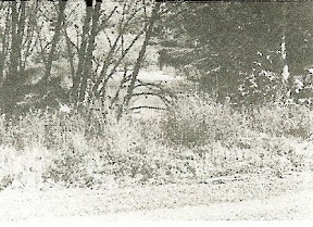 Crime Scene Evidence Diane Downs Vehicle Cmm Crime Mystery Mayhem